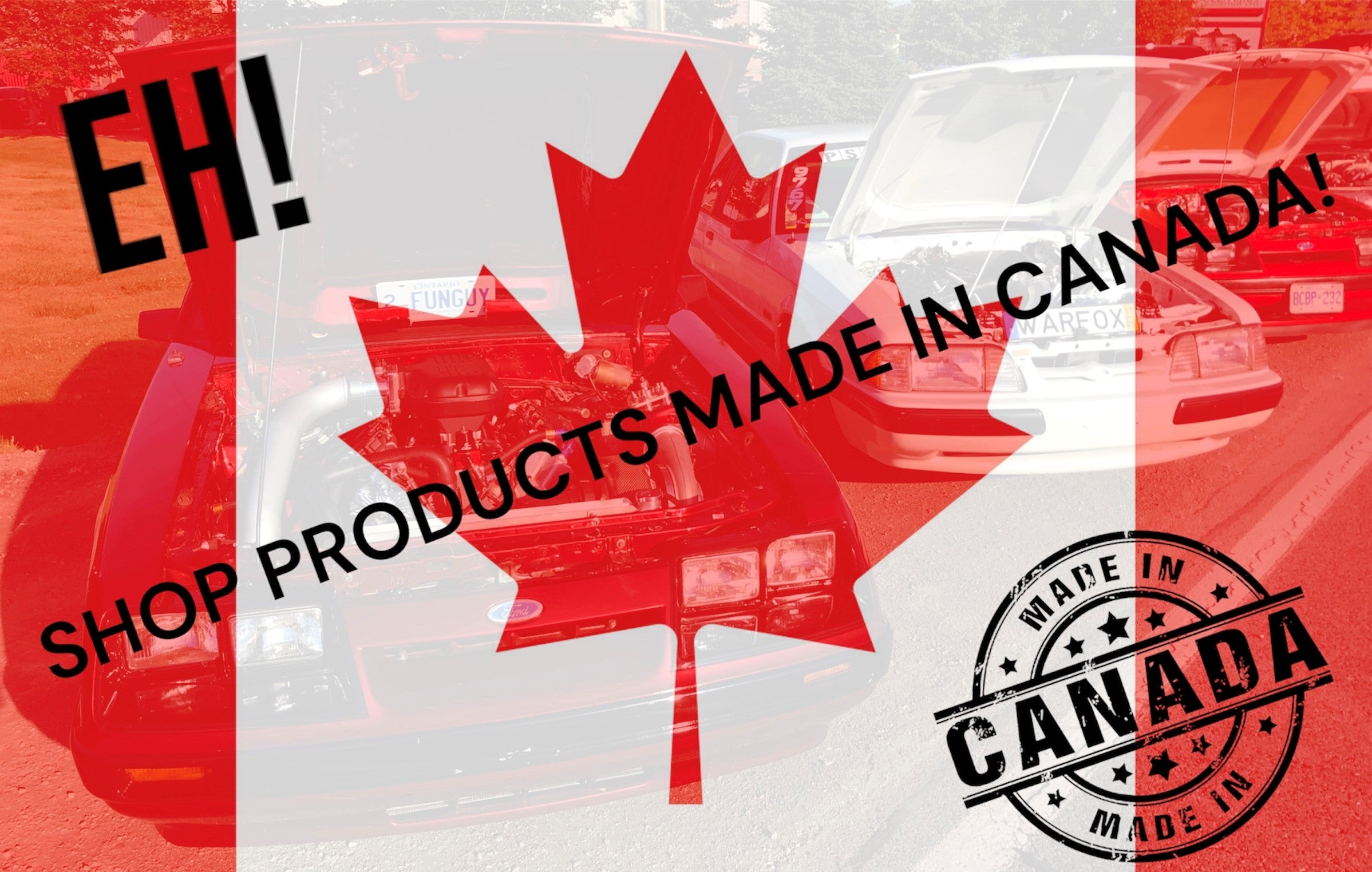 Made In Canada – Paul Silva Performance